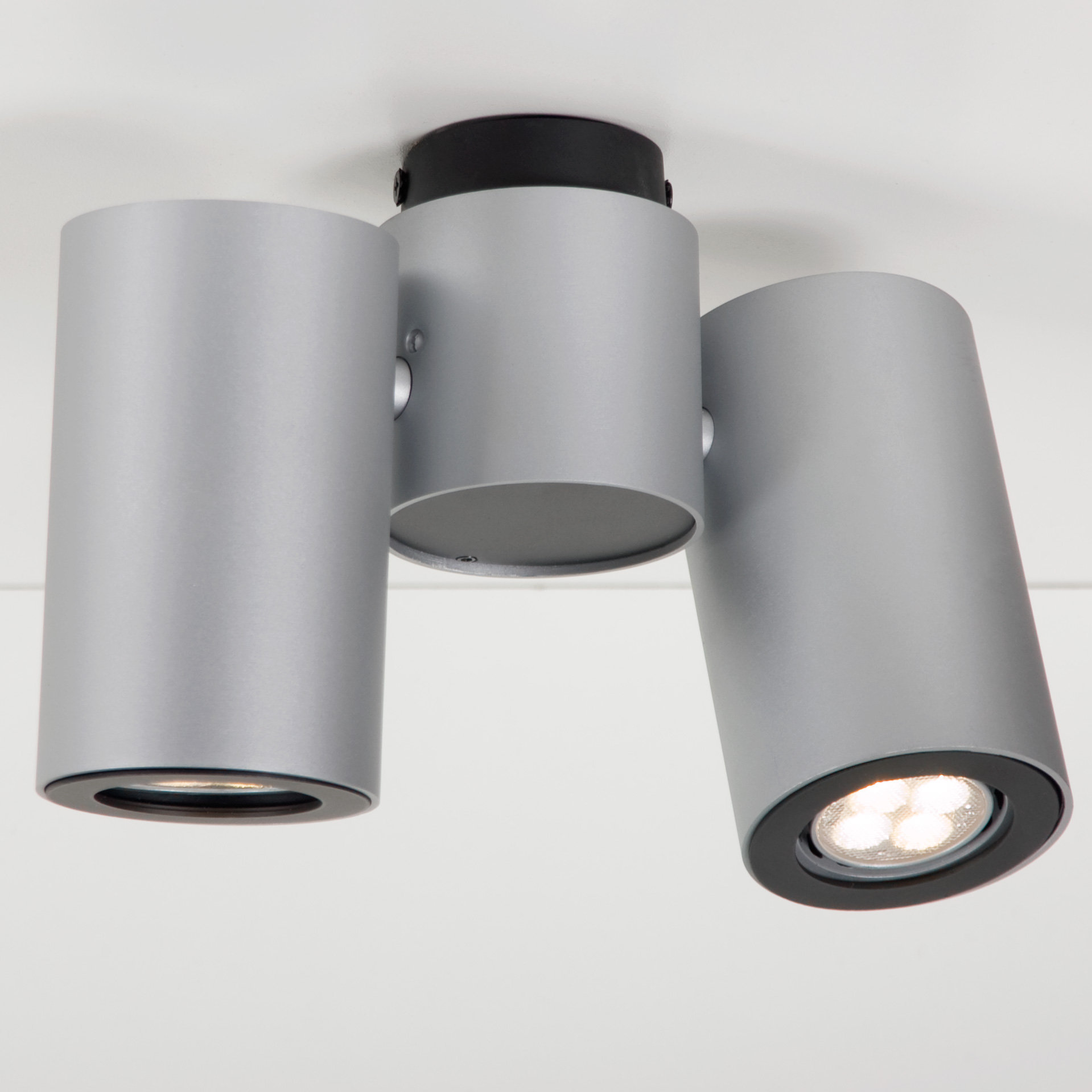 Brayden Studio Nolette 2 Light Ceiling Spotlight | Wayfair.ie