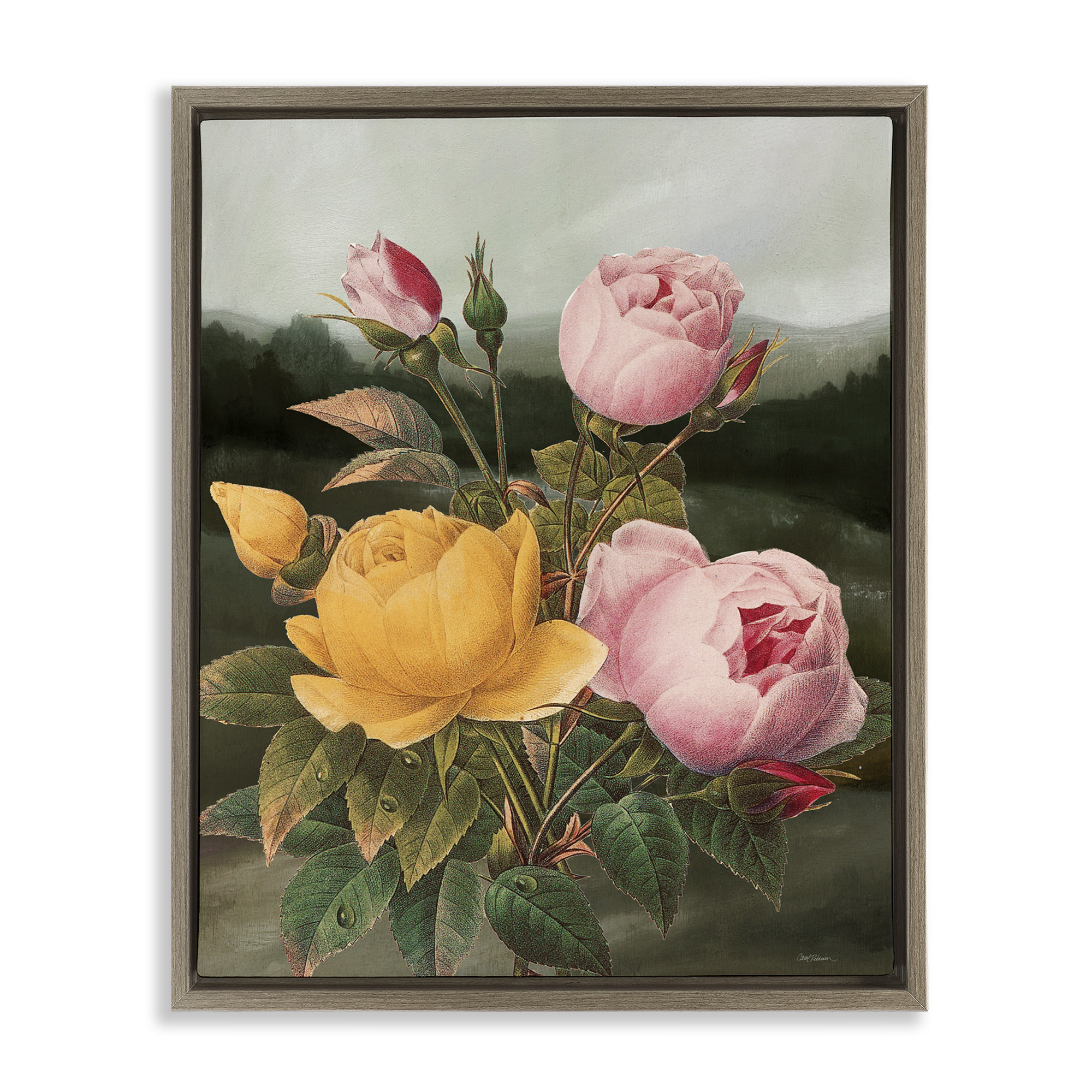 Lark Manor™ Vintage Peony Blooms Framed Floater Canvas Wall Art by ...
