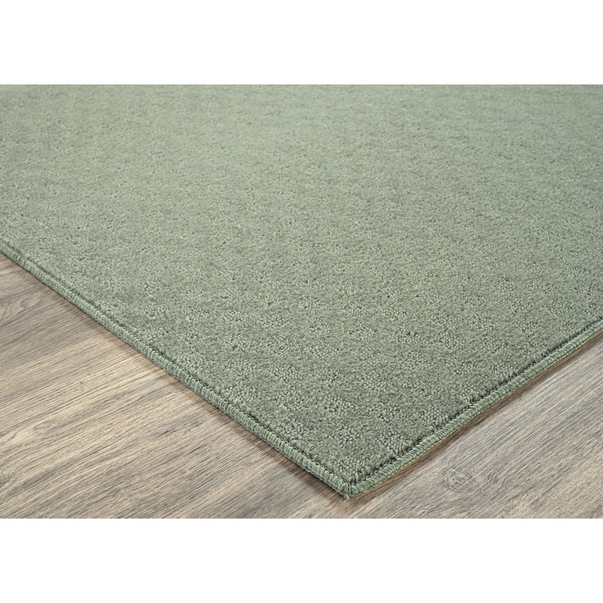 Ebern Designs Bonroy Area Rug Sage | Wayfair