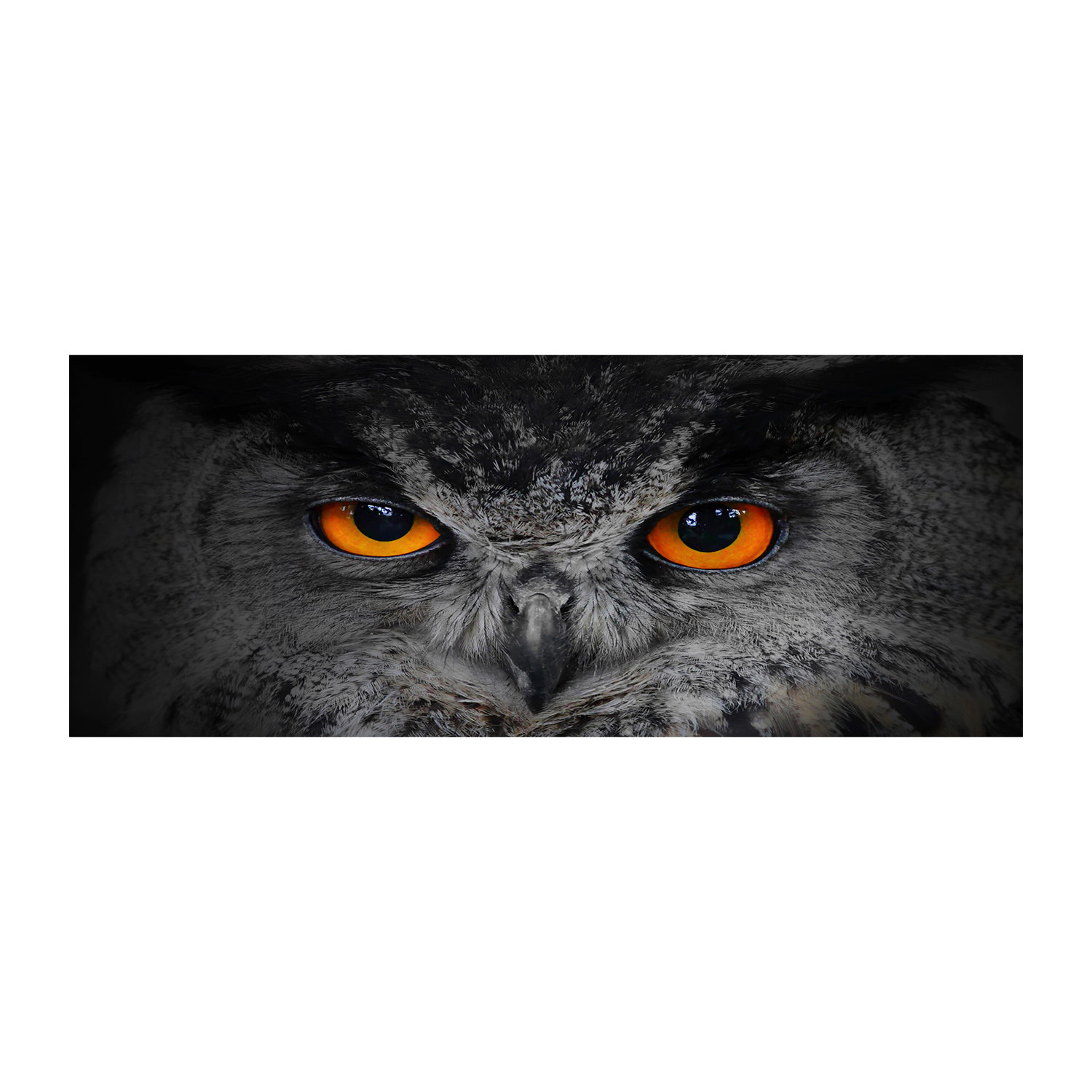 Union Rustic Devil'S Eyes of An Owl - Art Prints on Canvas | Wayfair.co.uk