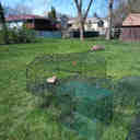 Archie & Oscar™ Lindquist Galvanized Cage with Cover for Dog, Rabbit ...