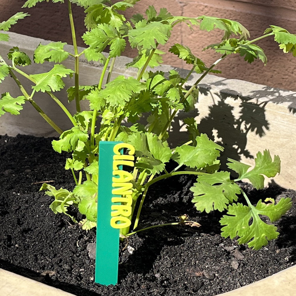 Arlmont & Co. Herb Seed & Plant Markers - Indoor/outdoor Herb Garden ...