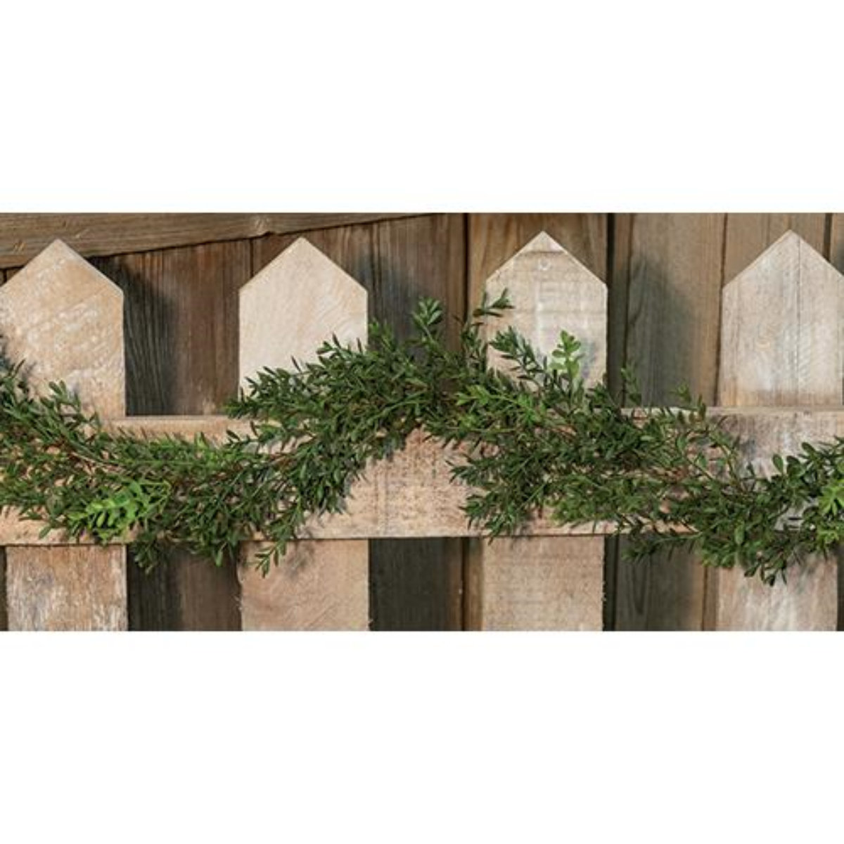 Primrue New England Boxwood Garland 6Ft - Wayfair Canada