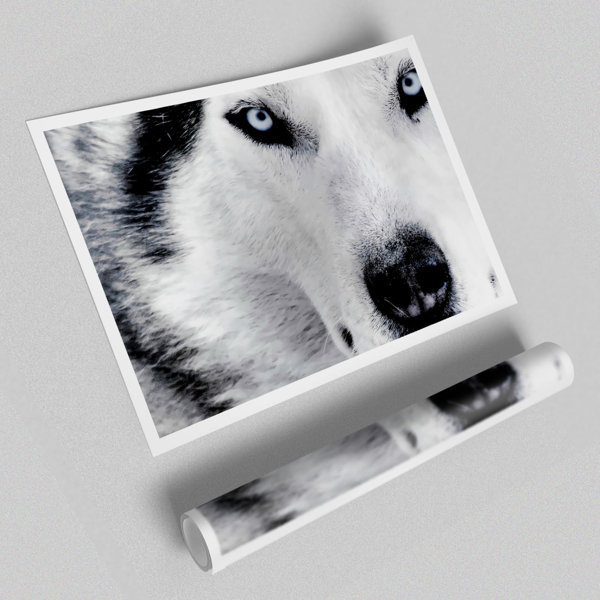 Husky Desk | Wayfair.co.uk