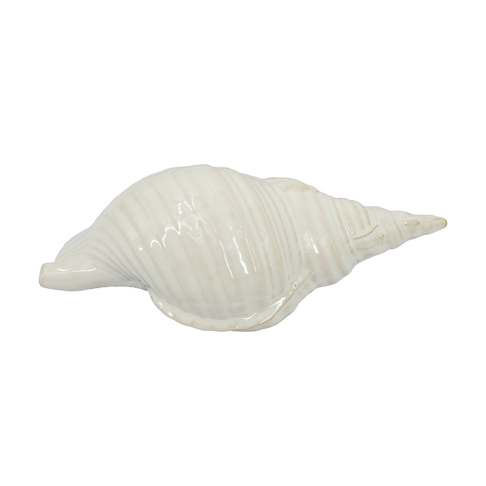Beachcrest Home™ 12X6x4.5" Lifelike Ceramic Seashell Sculpture With ...