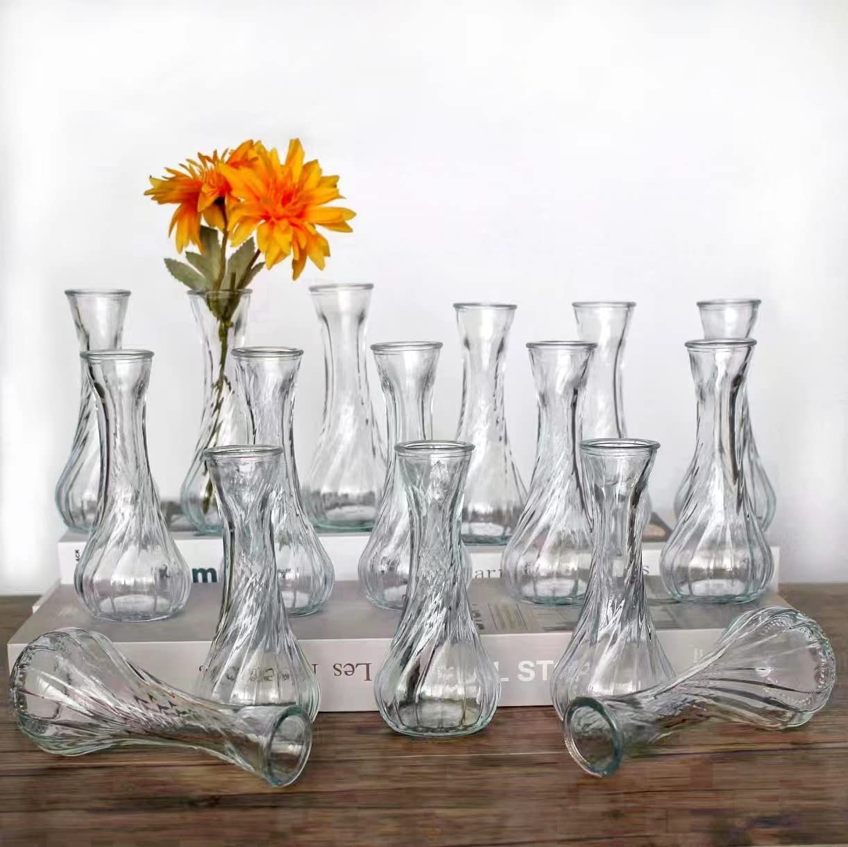 Orren Ellis Glass Bud Vases In Bulk Set Of 16, Small Glass Vases For ...