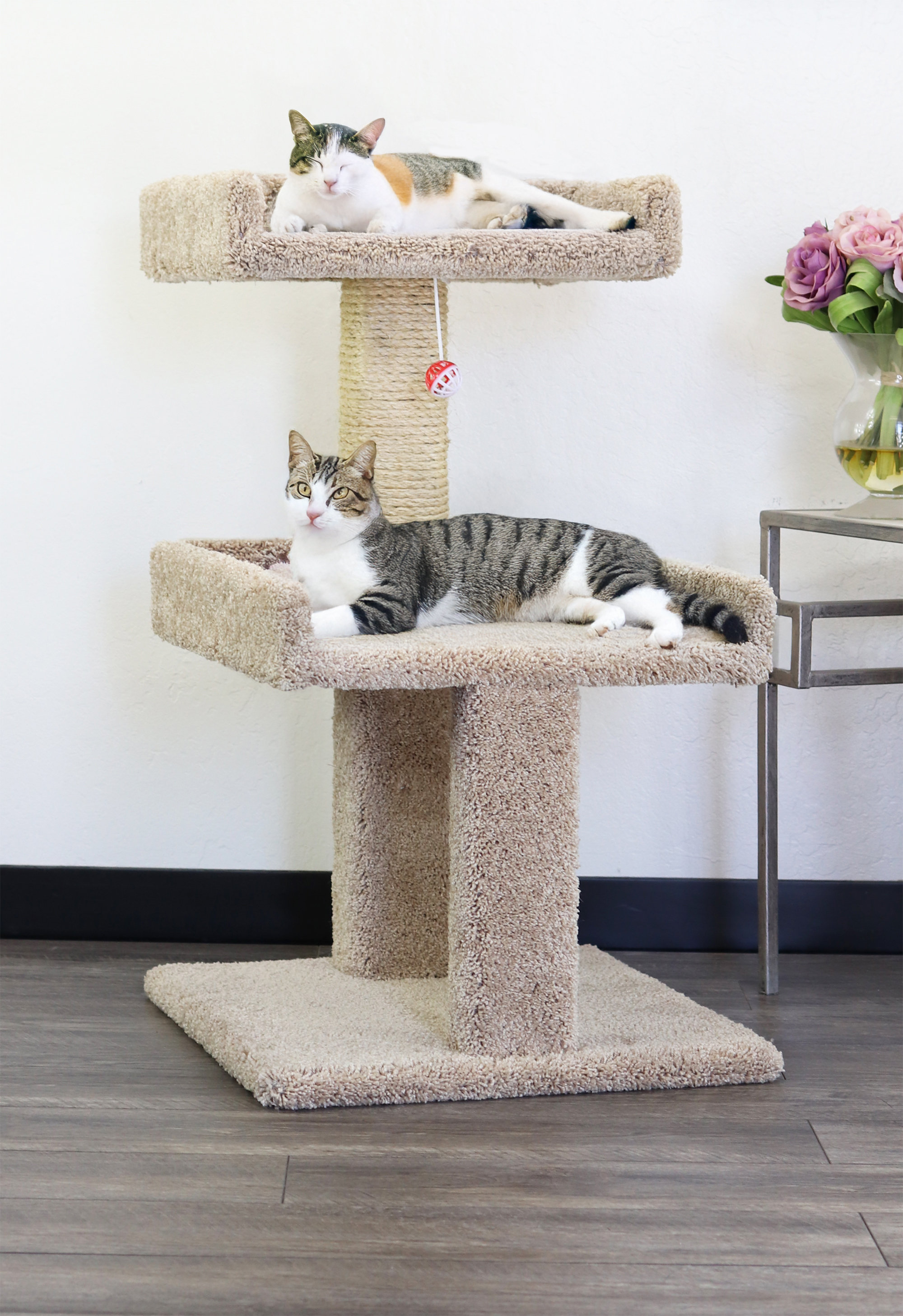 New Cat Condos Spacious Cat Perch for Large Cats & Reviews - Wayfair Canada
