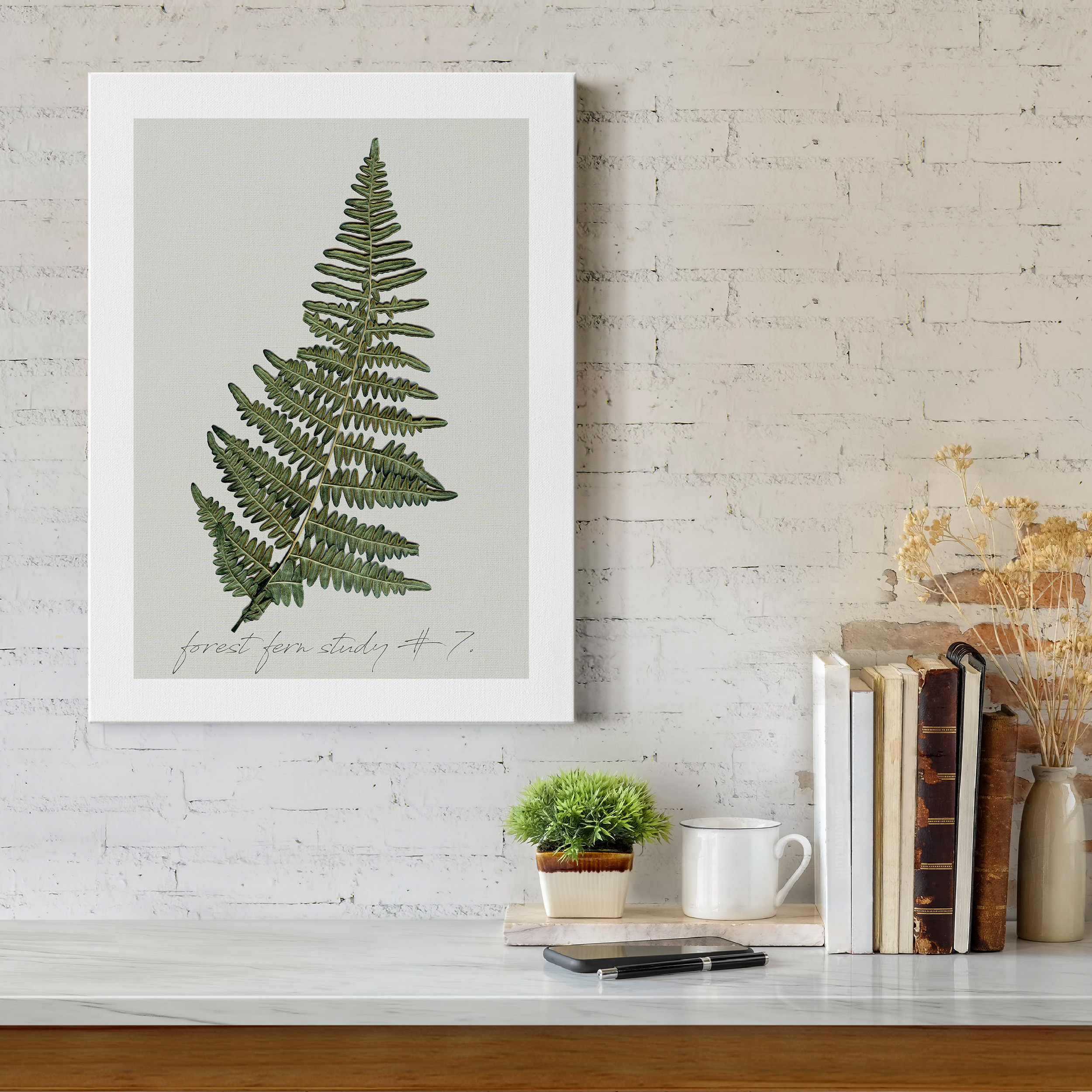Bay Isle Home™ Fern Studies II - Wrapped Canvas Graphic Art Print | Wayfair