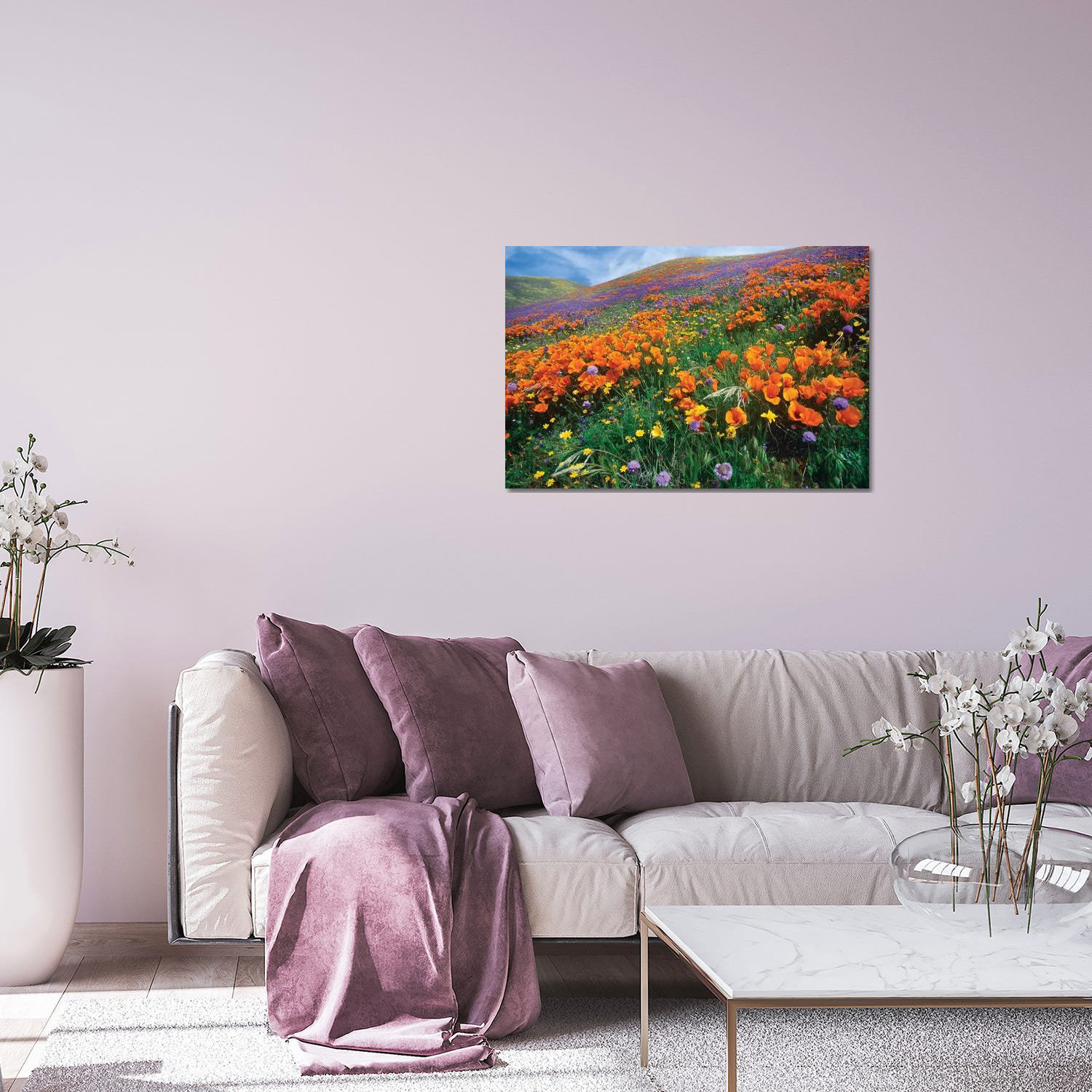 Hokku Designs California Poppy and Other Wildflowers Growing on ...