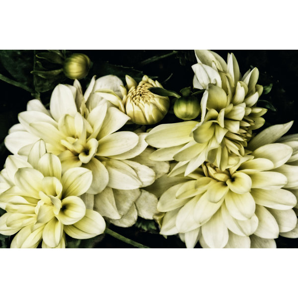 17 Stories Lemon Dahlias I by Rachel Perry - Wrapped Canvas Painting ...