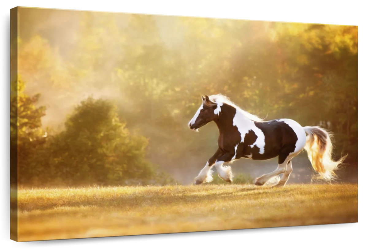 Ebern Designs Brampt Golden Lit Horse II | Wayfair