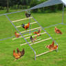 Gracie Oaks Chicken Coop Perches With Chicken Coop Swing, Chicken Perch ...