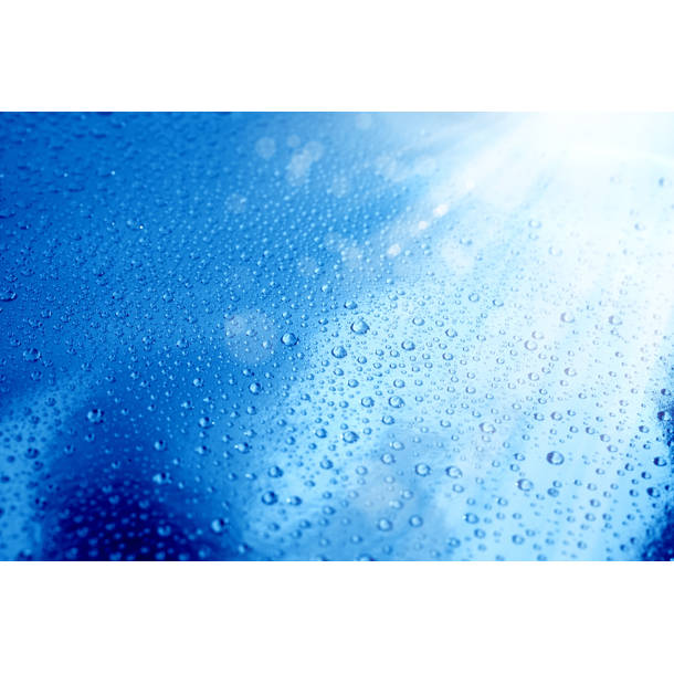 Ebern Designs Abstract Window Decal | Wayfair