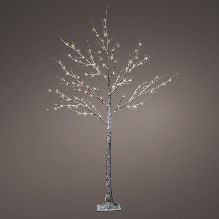 The Seasonal Aisle LED Indoor / Outdoor Lighted Trees & Branches ...
