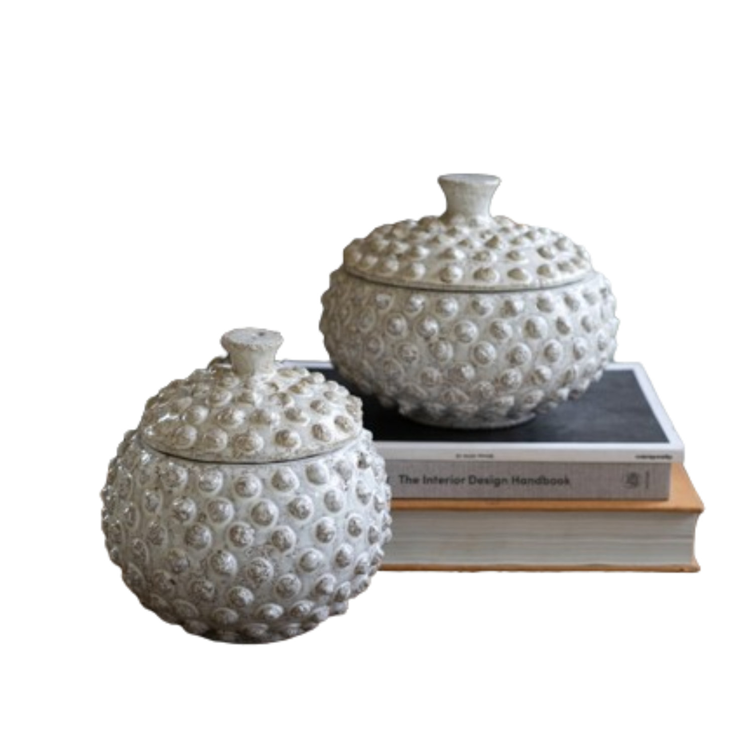 Bungalow Rose Roselius Handmade Ceramic Jar | Wayfair