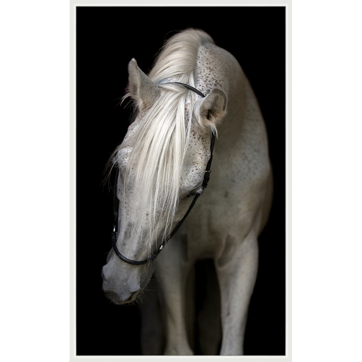 Lillian August Pasha' Framed Photographic Print on Canvas & Reviews ...