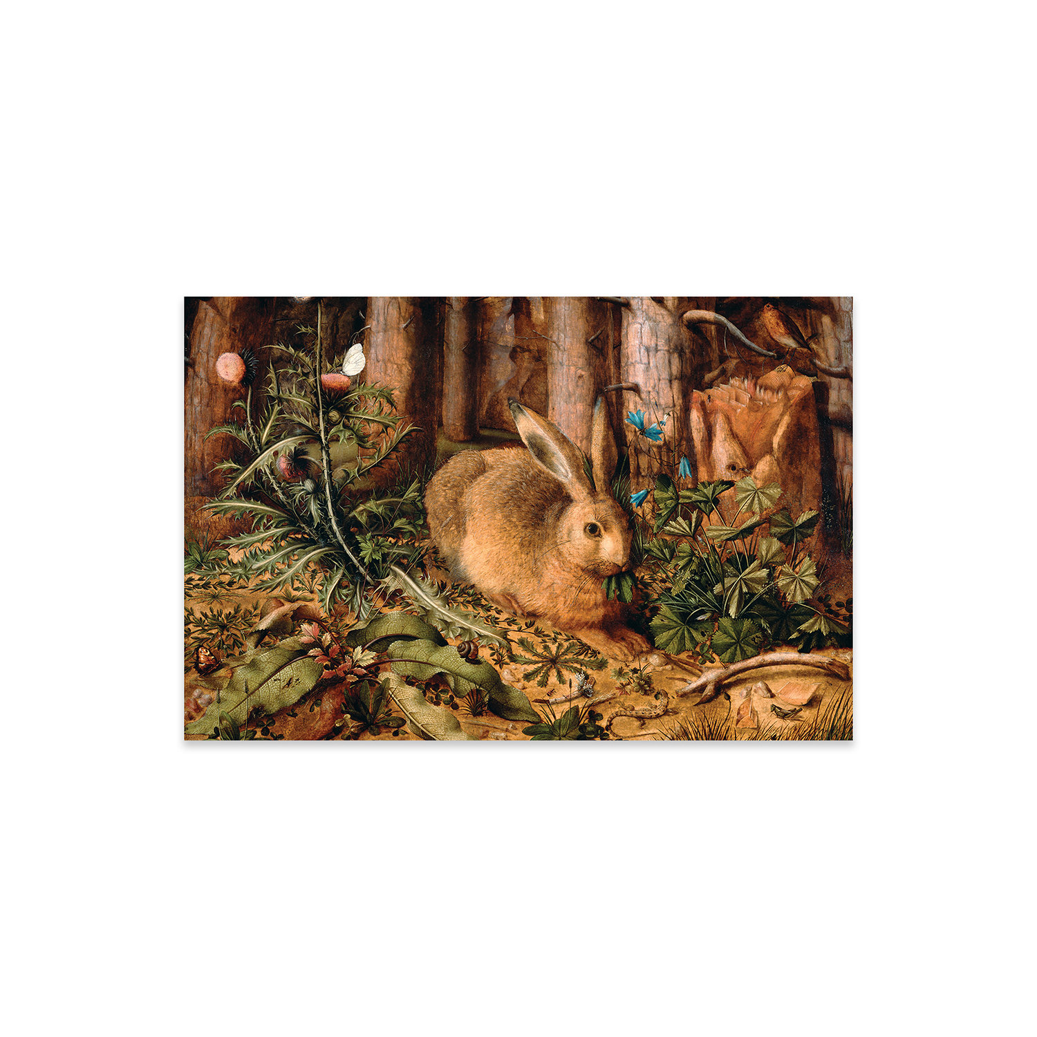 August Grove® A Hare in the Forest, c. 1585 by Hans Hoffmann - No Frame ...