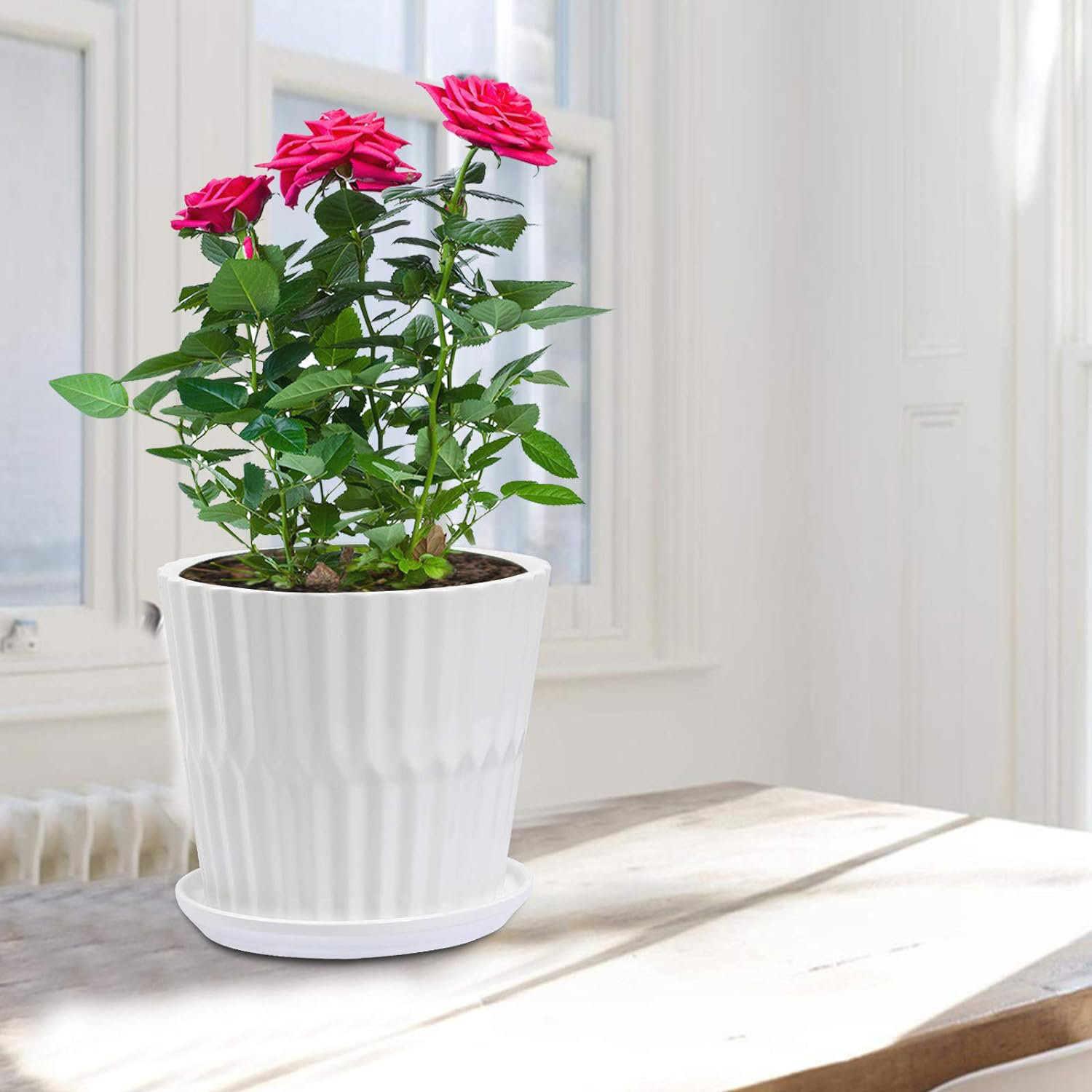 Latitude Run® Plant Pots - 6.7 Inch Cylinder Ceramic Planters with Connected Saucer, Pots for ...