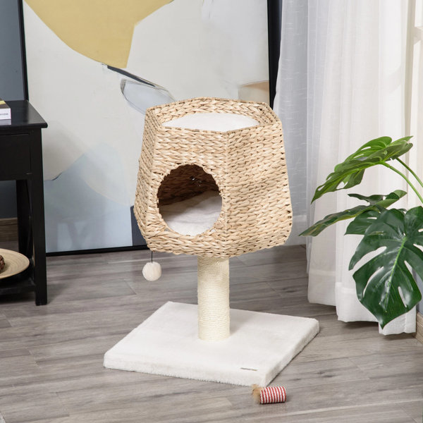 Archie & Oscar 66cm Thorpe Cat Tree | Wayfair.co.uk