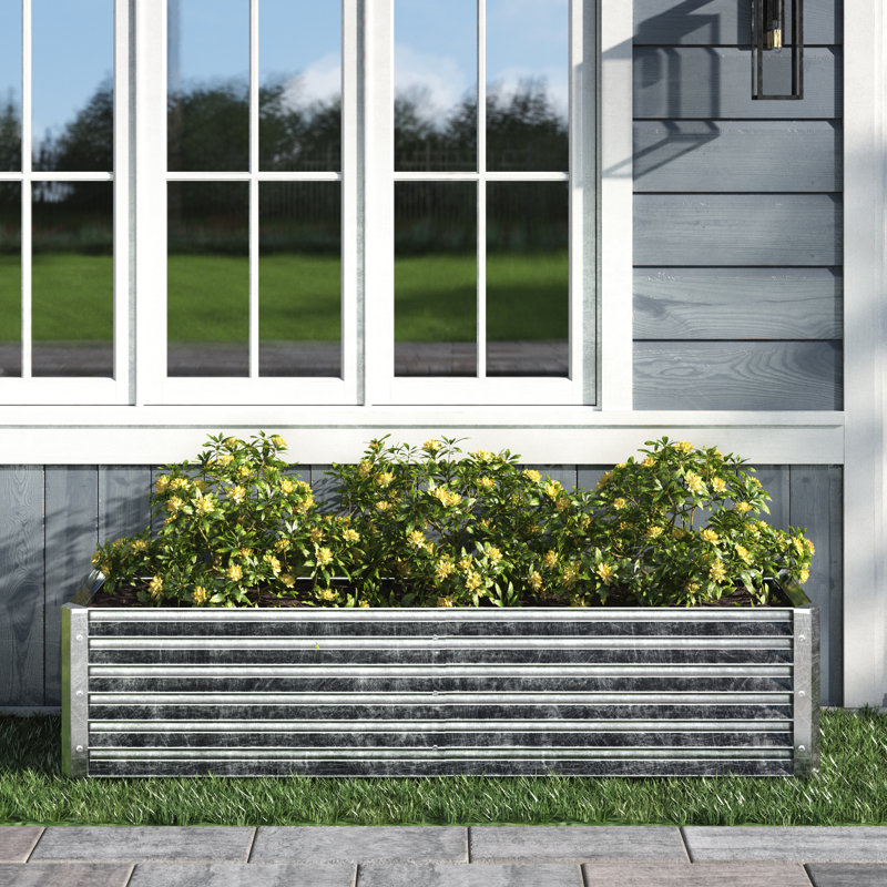 Arlmont & Co. Talley Galvanized Steel Planter Box & Reviews | Wayfair