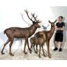 Metropolitan Galleries Bronze Deer Family Sculpture | Wayfair