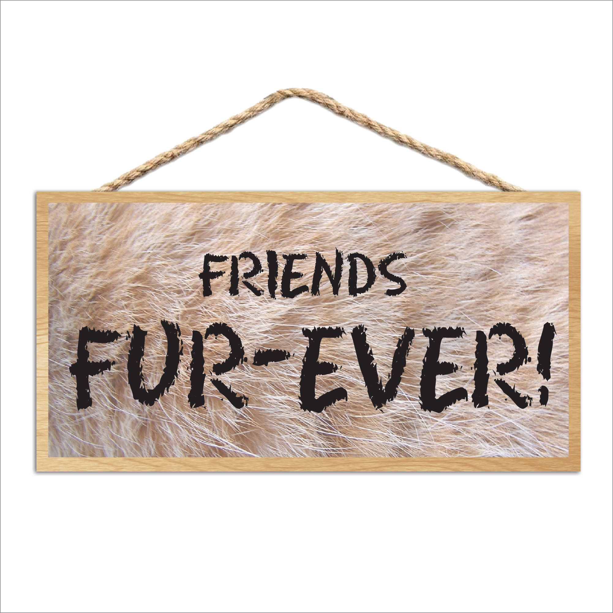 Imagine This Company Furry Friends-Fur-Ever Wood Sign - Wayfair Canada