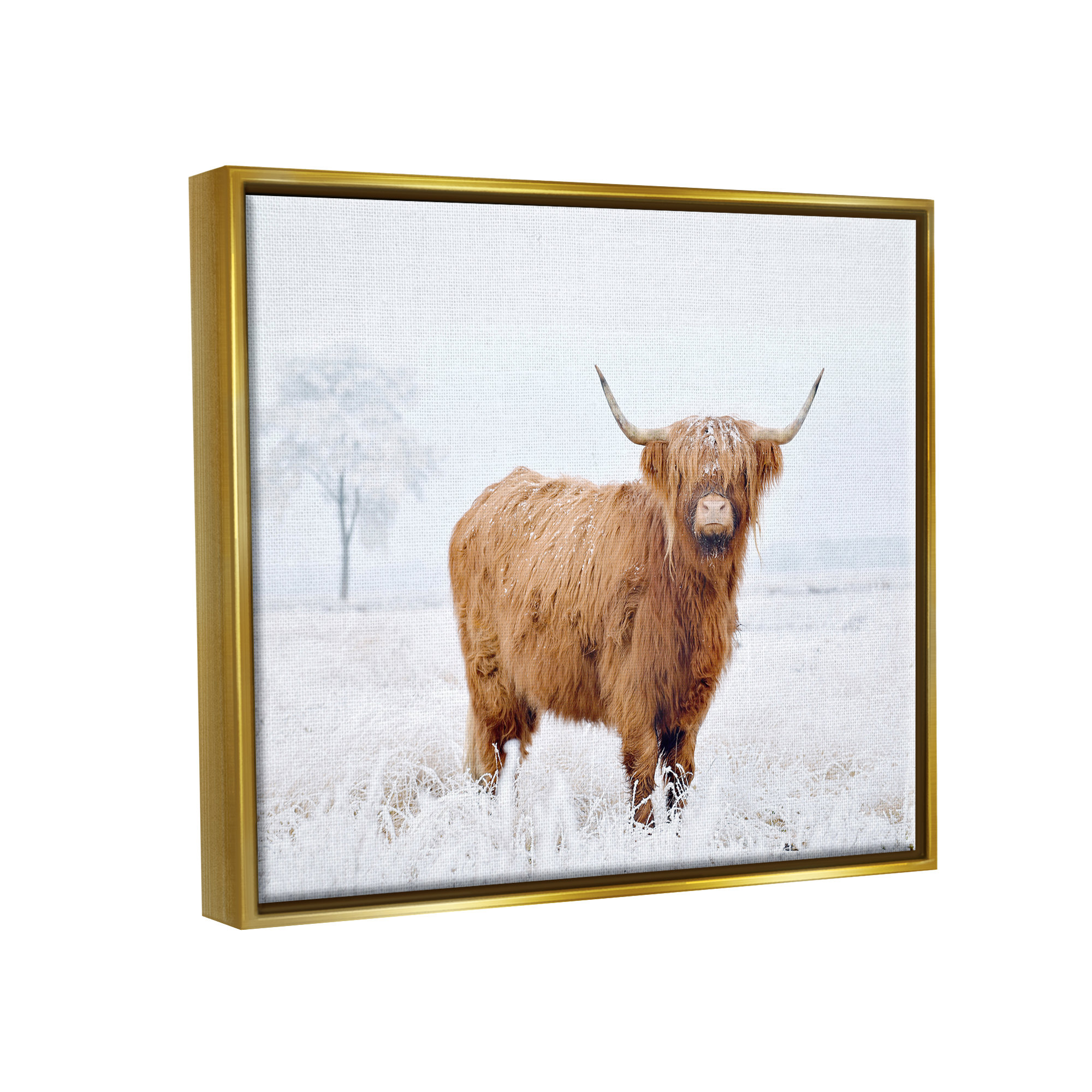 Union Rustic Highland Cow In Snow Framed On Canvas by Krista Broadway ...