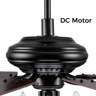 CEME 52'' 5 - Blade Standard Ceiling Fan with Remote Control and Light ...