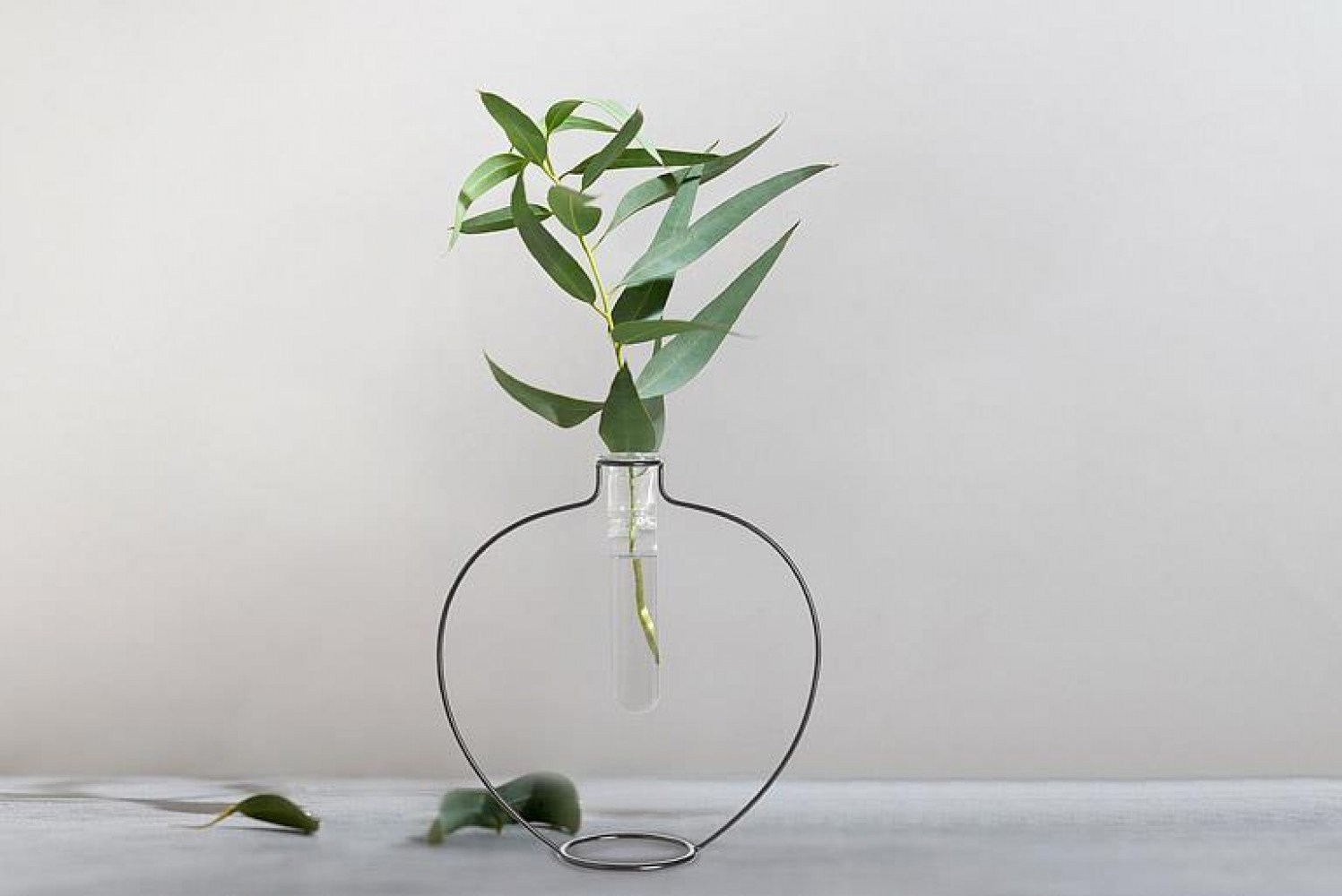 Wrought Studio™ Wide Shape Frame With Test Tube Vase | Wayfair