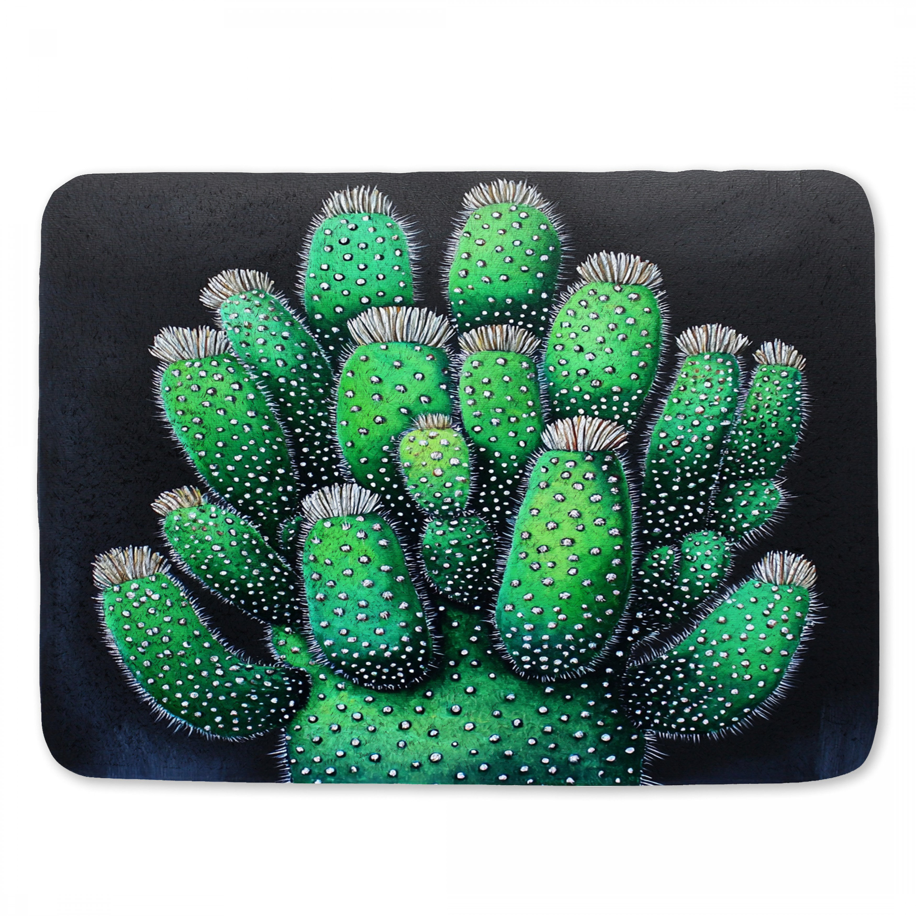 Dakota Fields Cactus Bath Mat Plant Bathroom Decor Southwestern | Wayfair