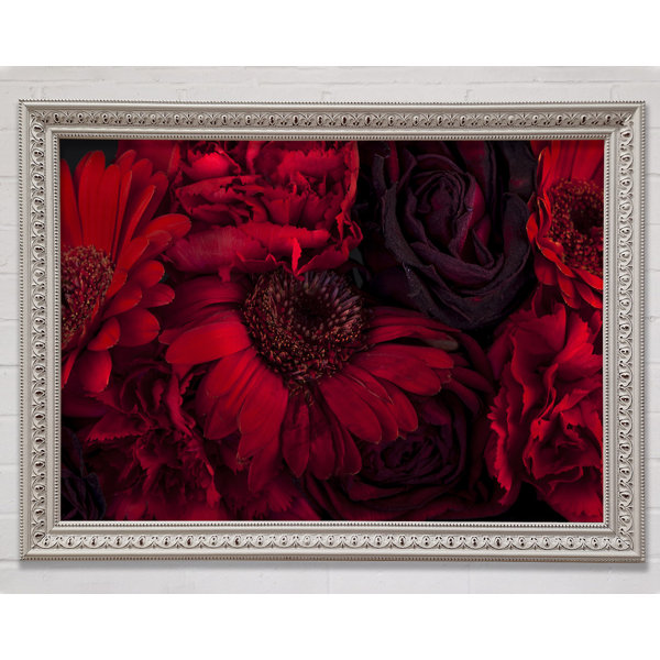 Bright Star Red Dying Flowers - Single Picture Frame Art Prints ...