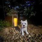 Hi-Line Gift Ltd. Sitting White Terrier Dog Statue & Reviews | Wayfair