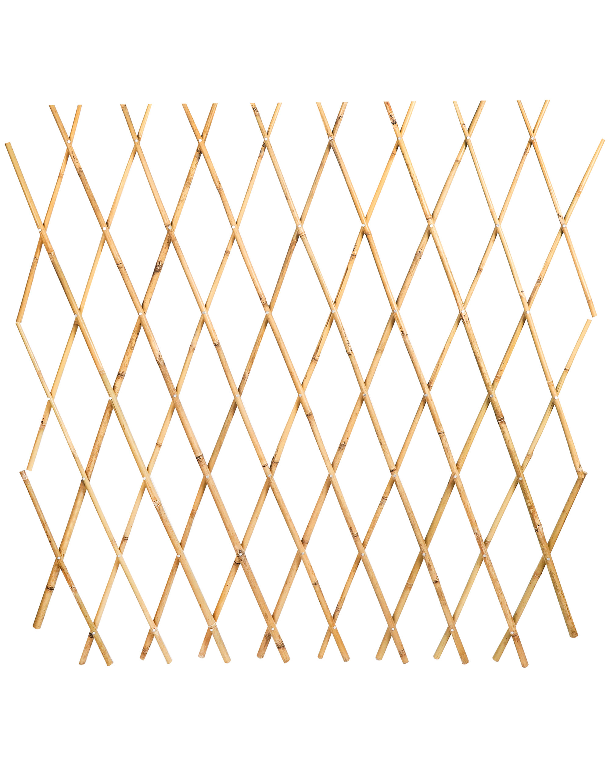 Arlmont & Co. Expandable Bamboo Trellis Fence - Plant Support For ...