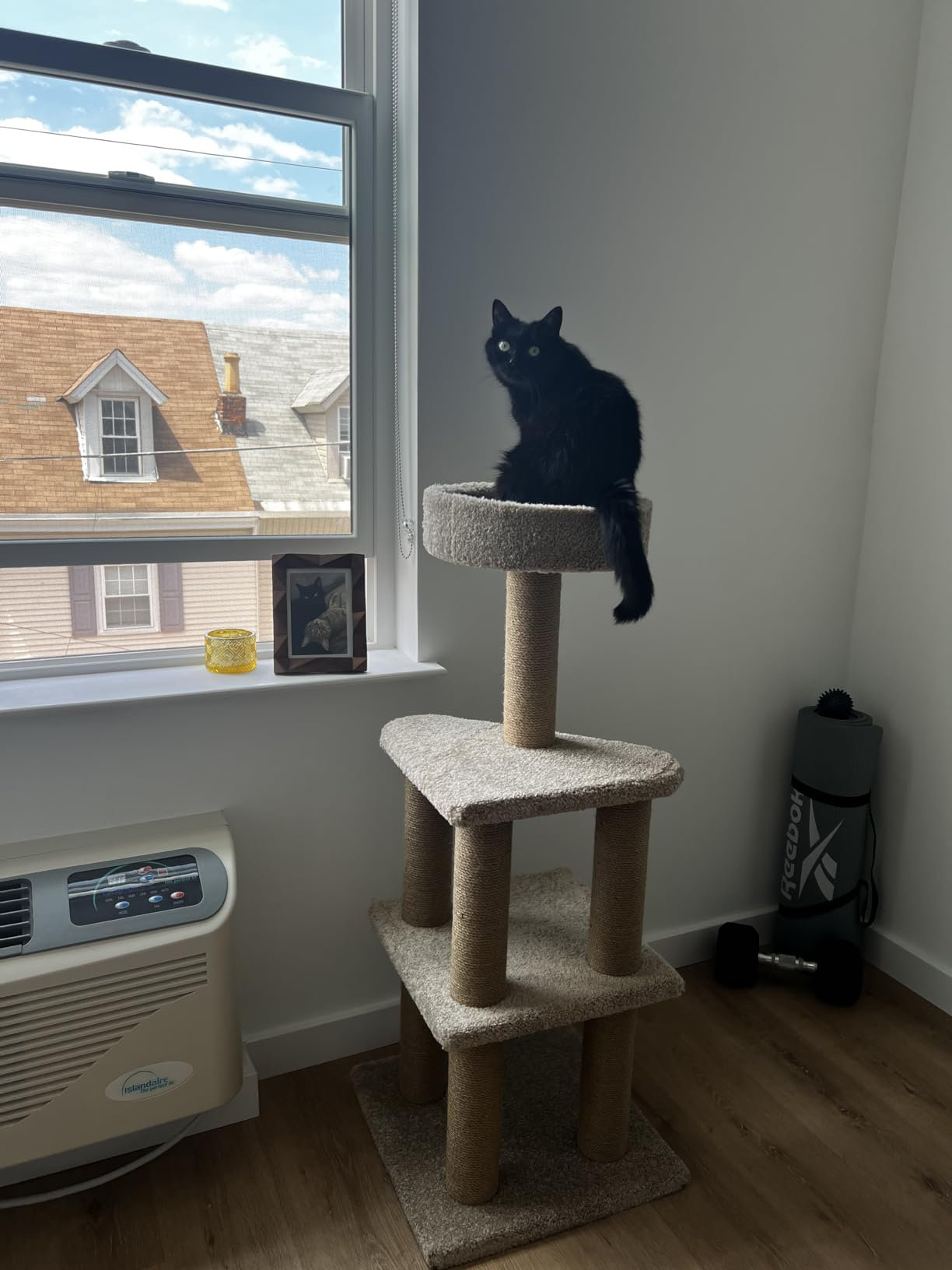 Tucker Murphy Pet™ 4-tier Beige Large Cat Tree Climbing Activity Tower ...