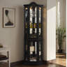 Winston Porter Lighted Corner Curio Cabinet | Wayfair
