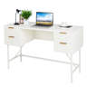 Ebern Designs Coggin 48'' W Rectangle Computer Desk & Reviews | Wayfair