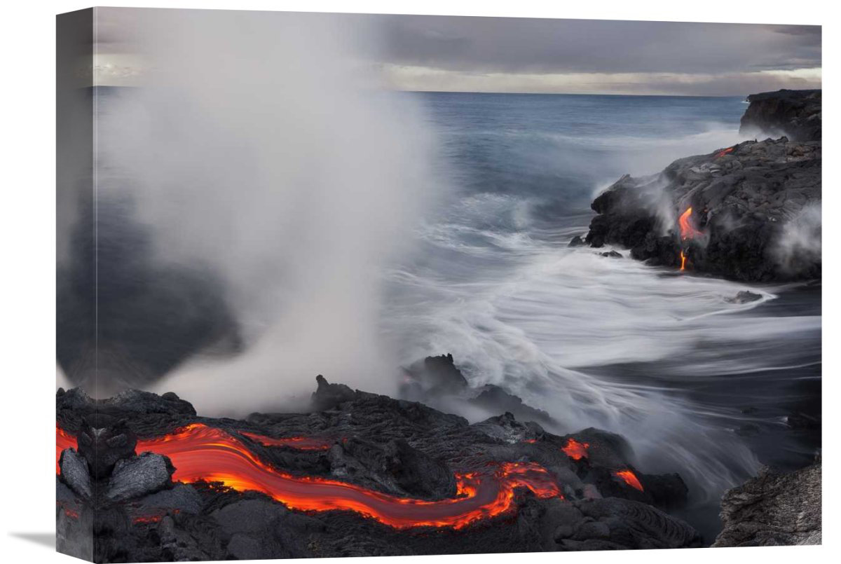 Global Gallery 'Fried Feet' by Miles Morgan Graphic Art on Wrapped ...