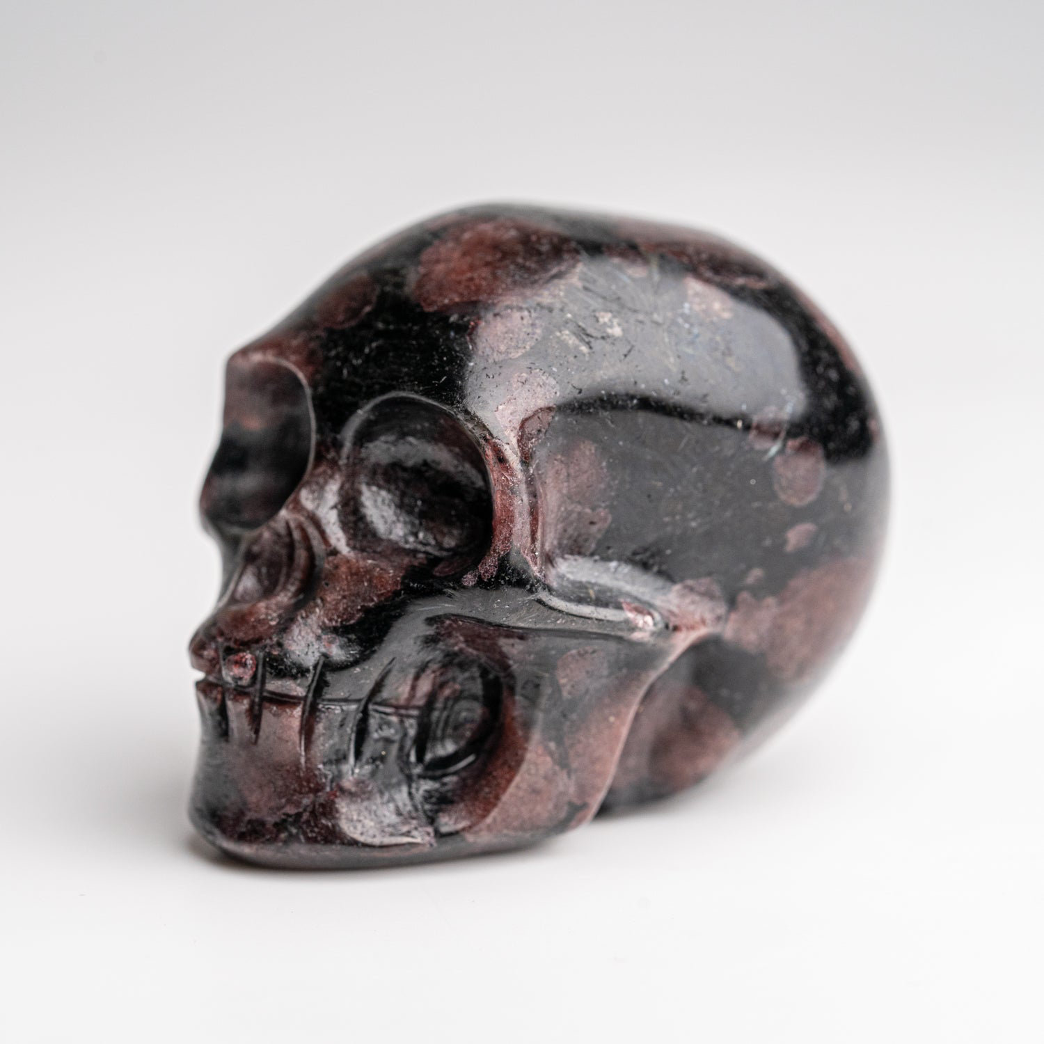 Astro Gallery of Gems Polished Garnet In Biotite Skull Carving (141 ...