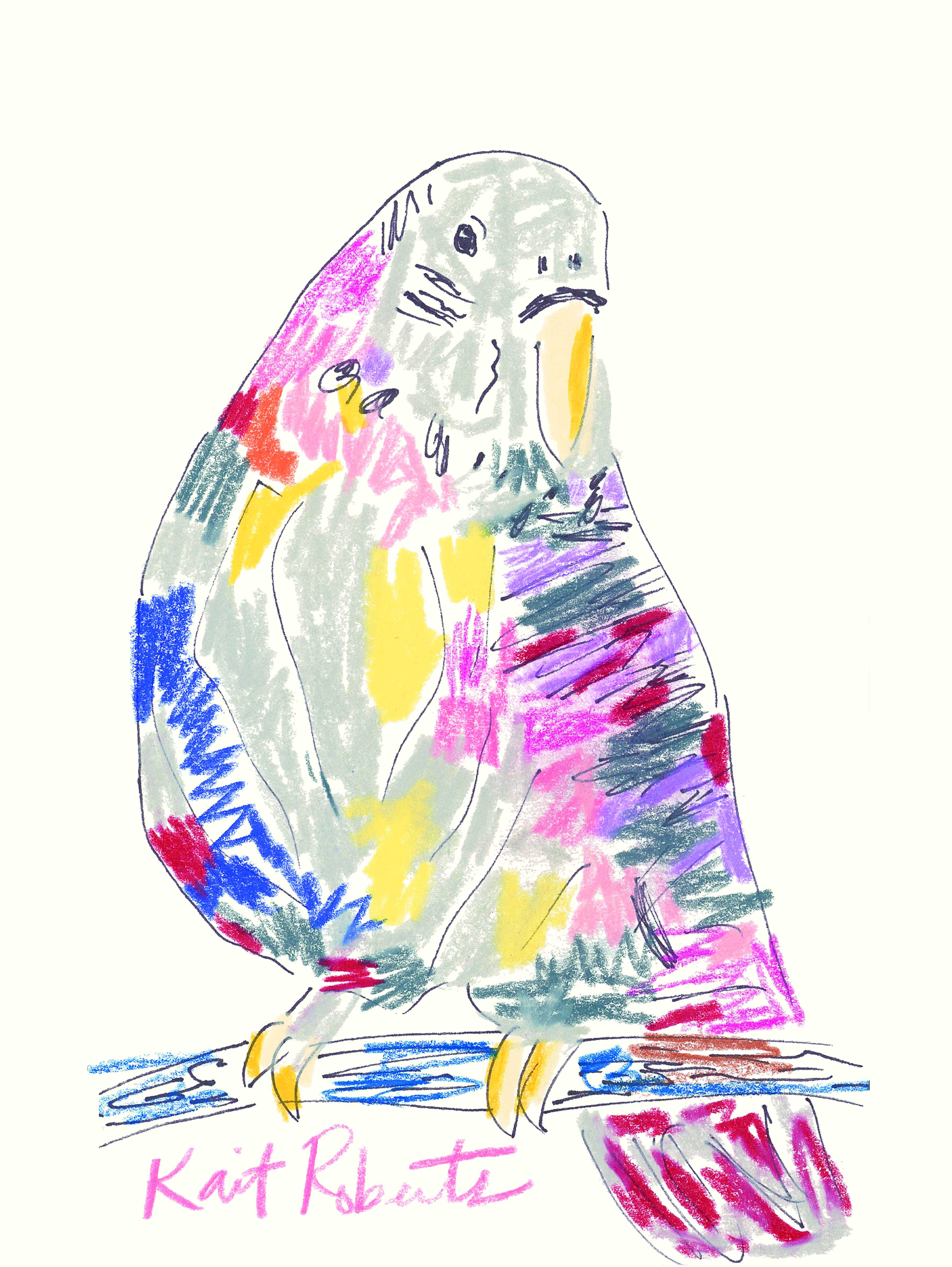 Winston Porter Jimmy the Bird - Wrapped Canvas Print | Wayfair