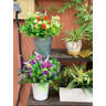 Ophelia & Co. Multi-Species Realistic Faux Plants Artificial Flowers ...