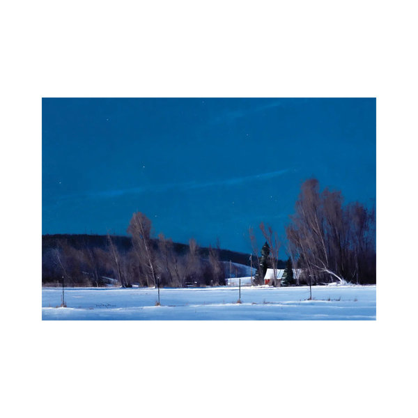 Ebern Designs Buffalo County WI Night Lights by Ben Bauer - Wrapped ...