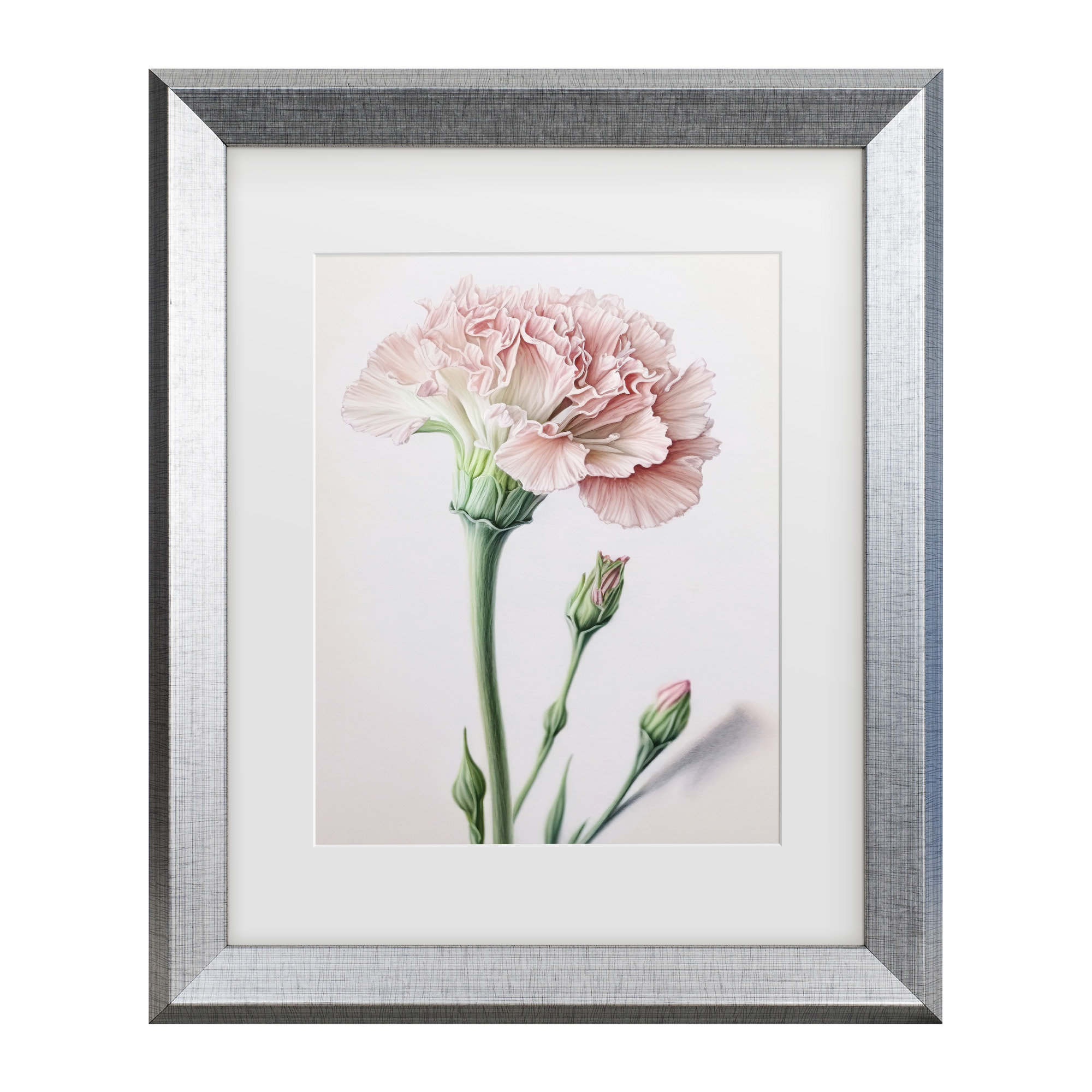 Ebern Designs Bolog Incado Powder Carnations Matted Framed Art | Wayfair