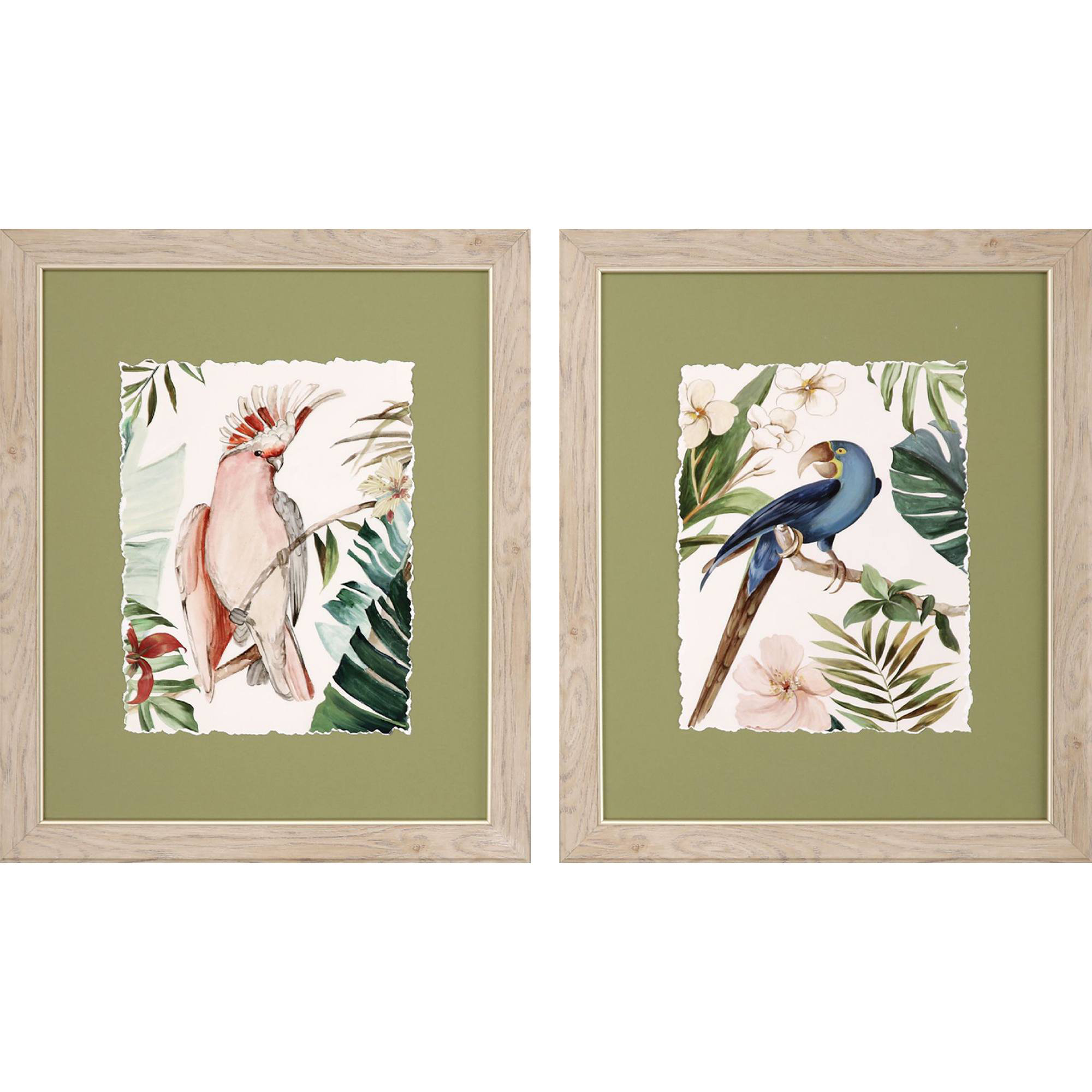 Bay Isle Home™ Tropical Bird S/2 Framed On Paper 2 Pieces Print | Wayfair