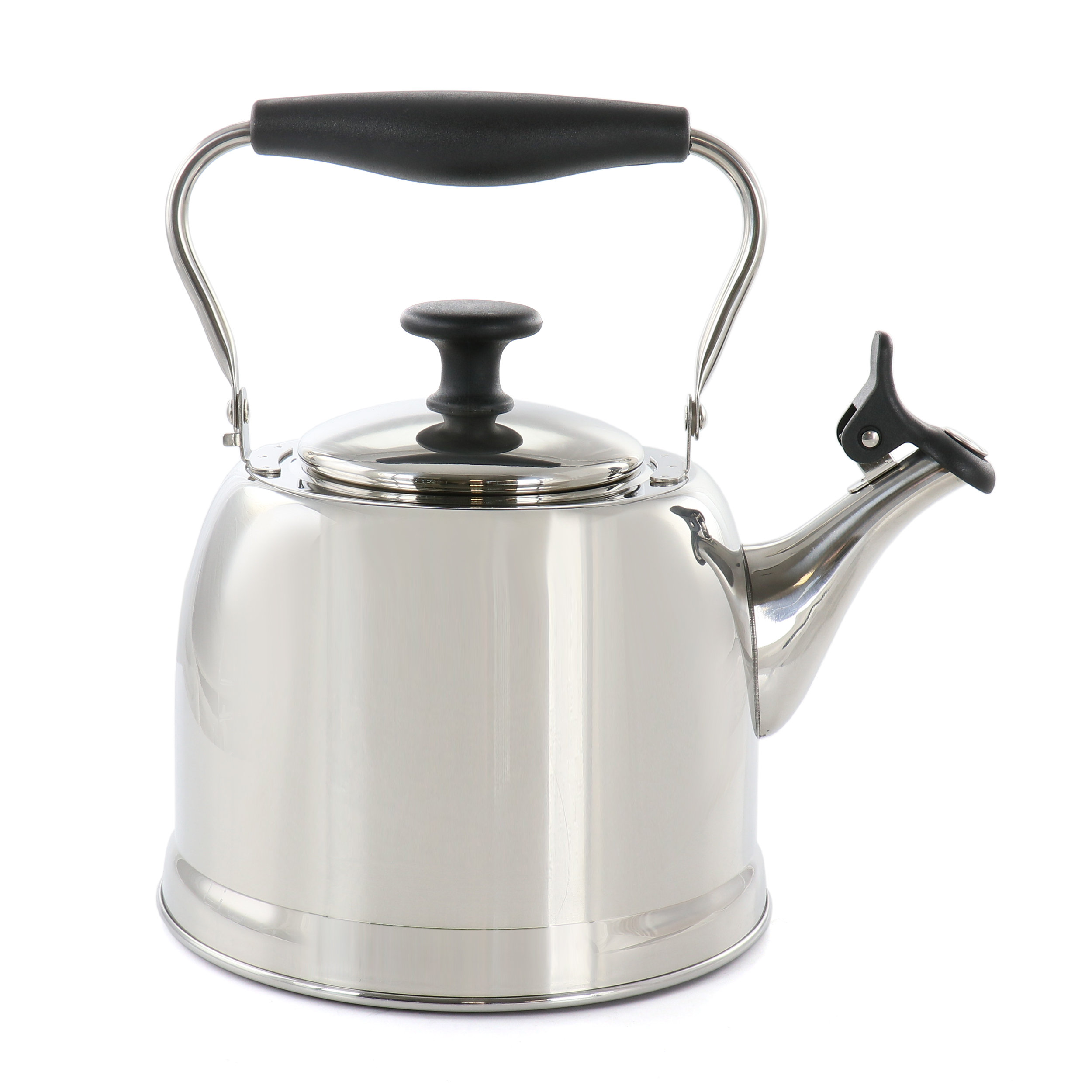 Martha Stewart Lily Pond 2.2 Quart Stainless Steel Tea Kettle in Silver ...
