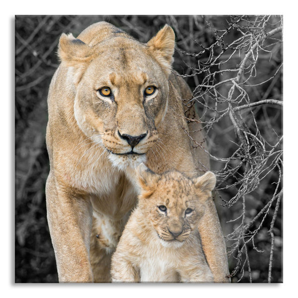 Ebern Designs Beautiful Lioness With A Sweet Cub - No Frame Print on ...