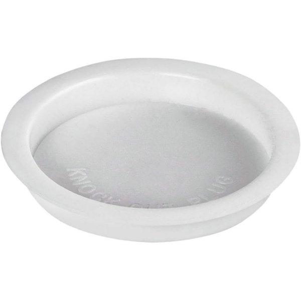 Supply Giant 2 in. White PVC DWV Test Cap, Socket Connection for Drain ...