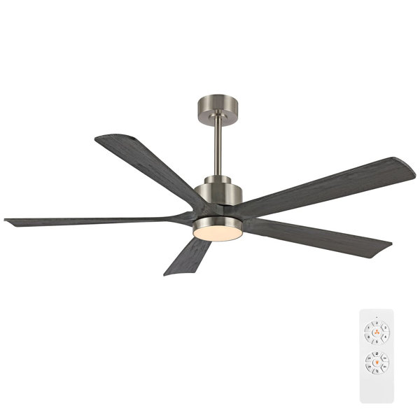 Hokku Designs Edgarda 60'' Ceiling Fan with LED Lights | Wayfair
