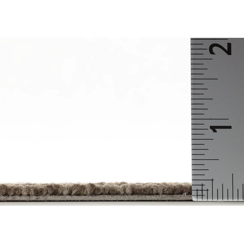 Shaw Floors Explorer 24-in x 24-in Multi-Level Loop Adhesive Carpet ...