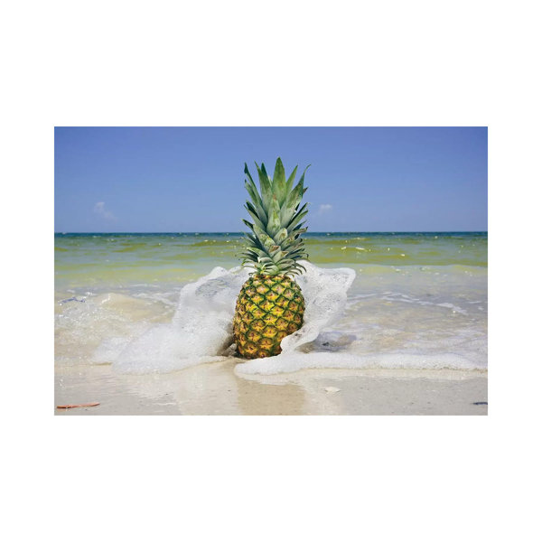 Bay Isle Home South Florida Pineapple IV by Adam Mead - Wrapped Canvas ...