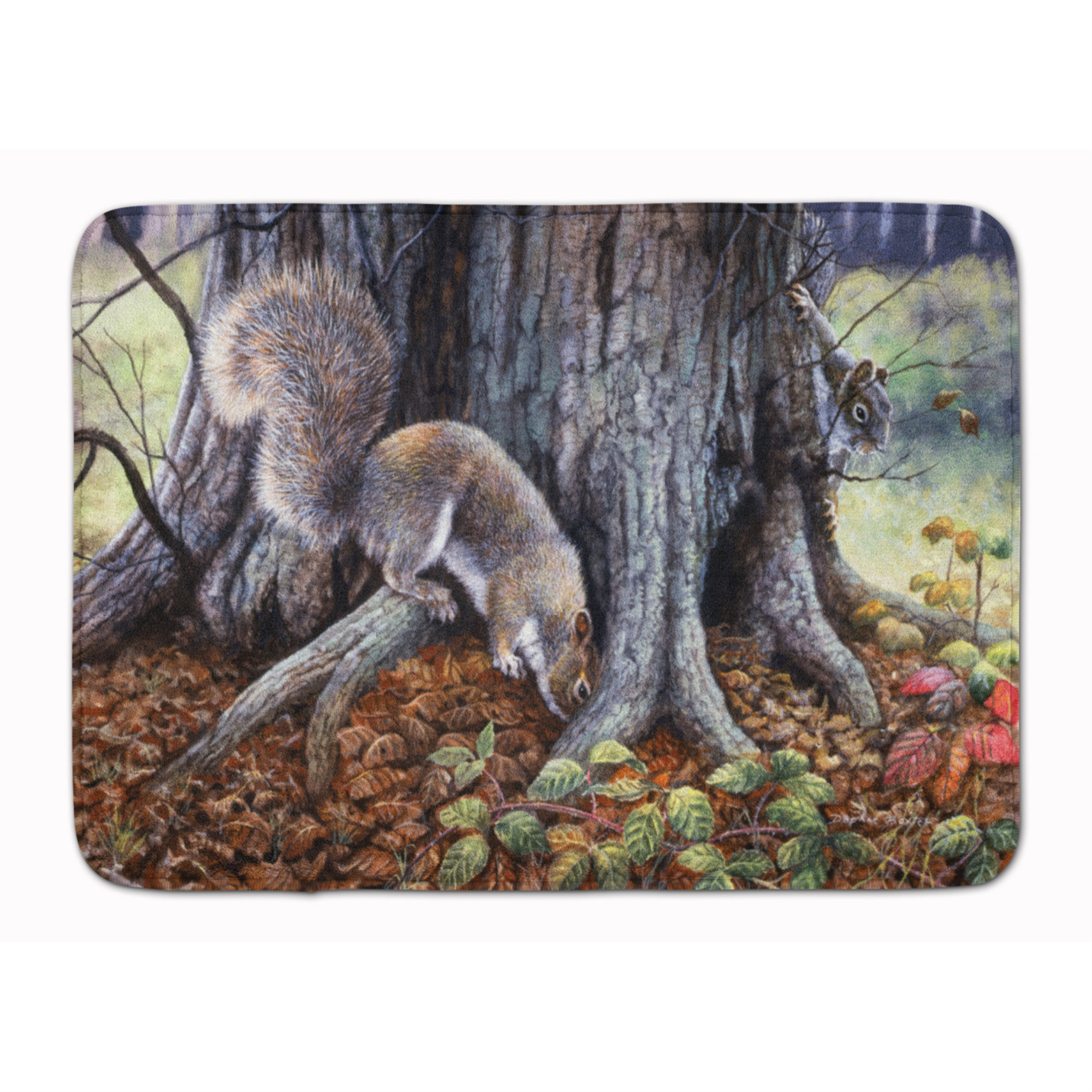 Millwood Pines Berke Squirrel Around the Tree Rectangle Microfiber Non ...